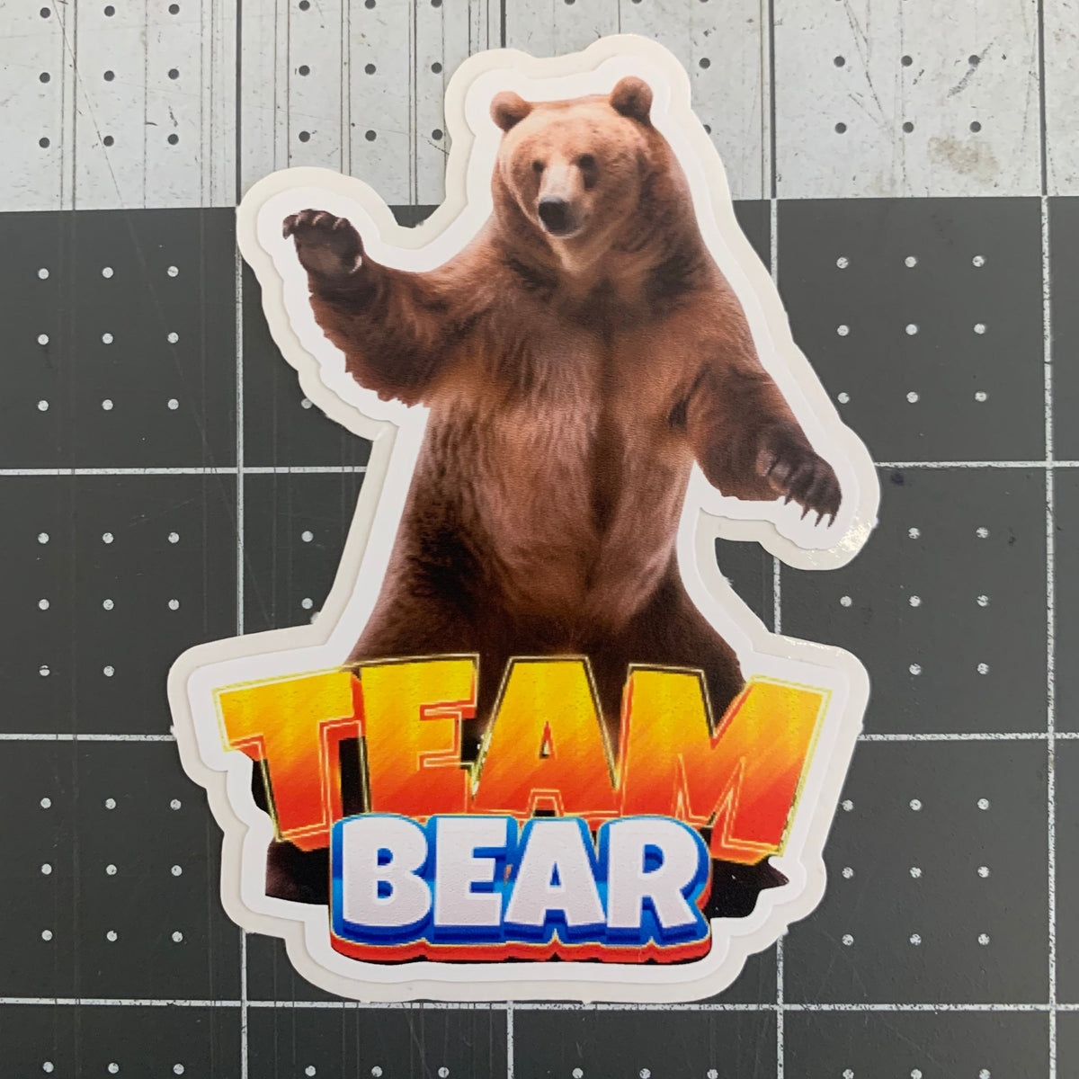 Team Bear Sticker Set – Cutouts Canada