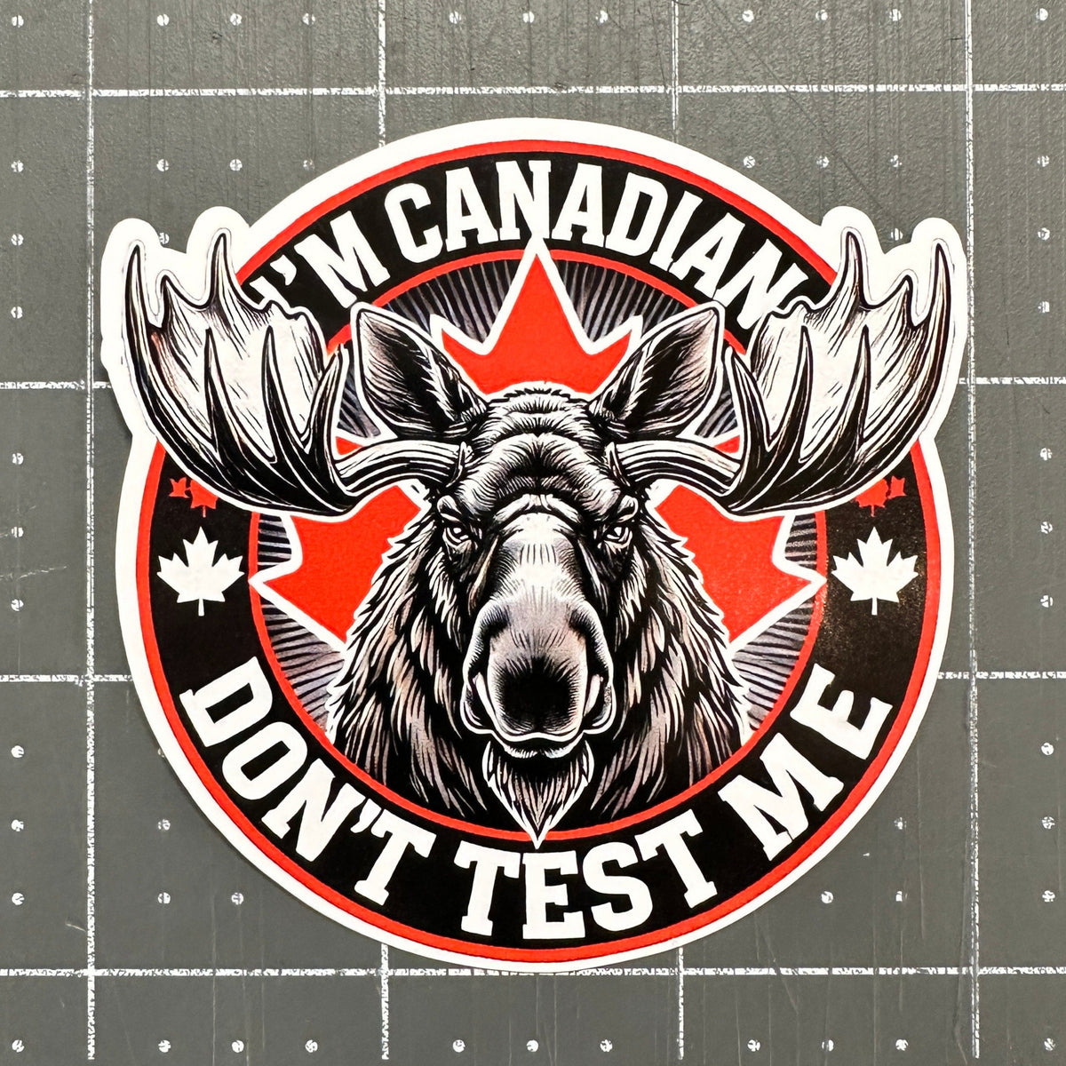 Defiant Canadian Moose Vinyl Sticker – Cutouts Canada